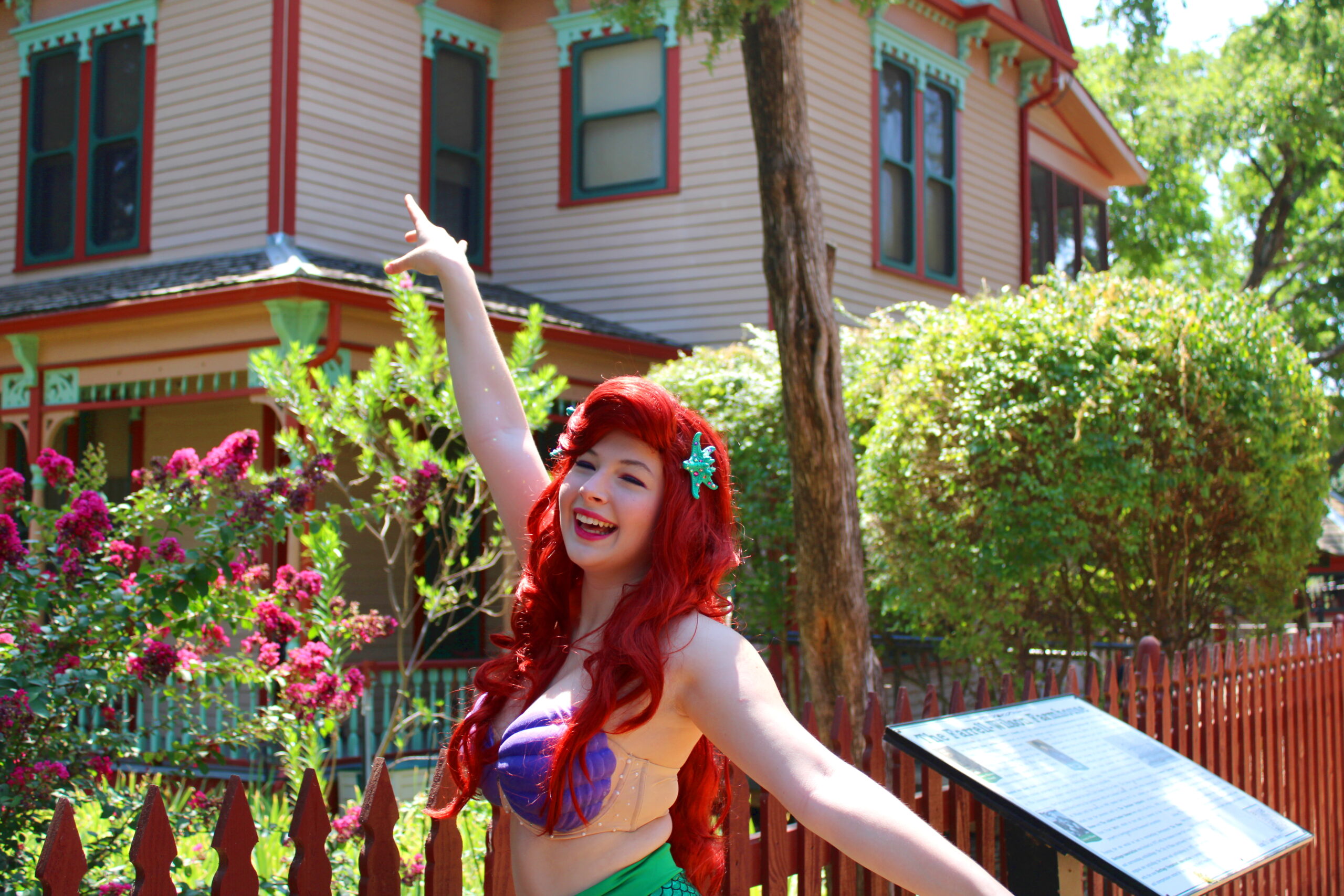 Ariel Little Mermaid Character • Ferngully Party Characters