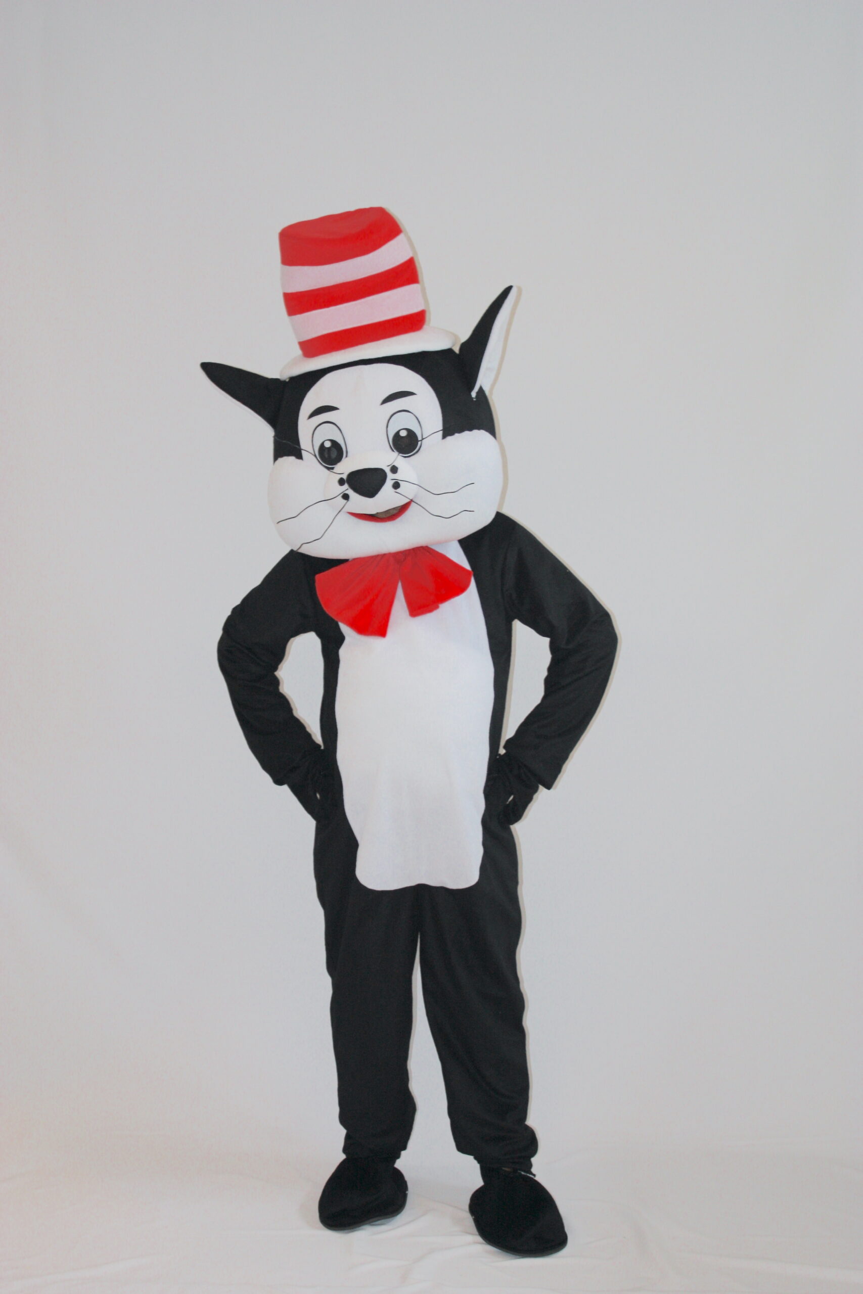 Cat-in-the-Hat Character • Ferngully Party Characters